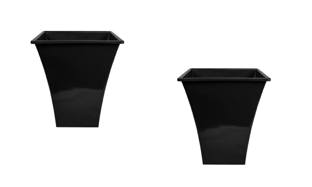 PAIR of Marguerite Giant Daisy Trees with Flared Planters - Perfect for ...
