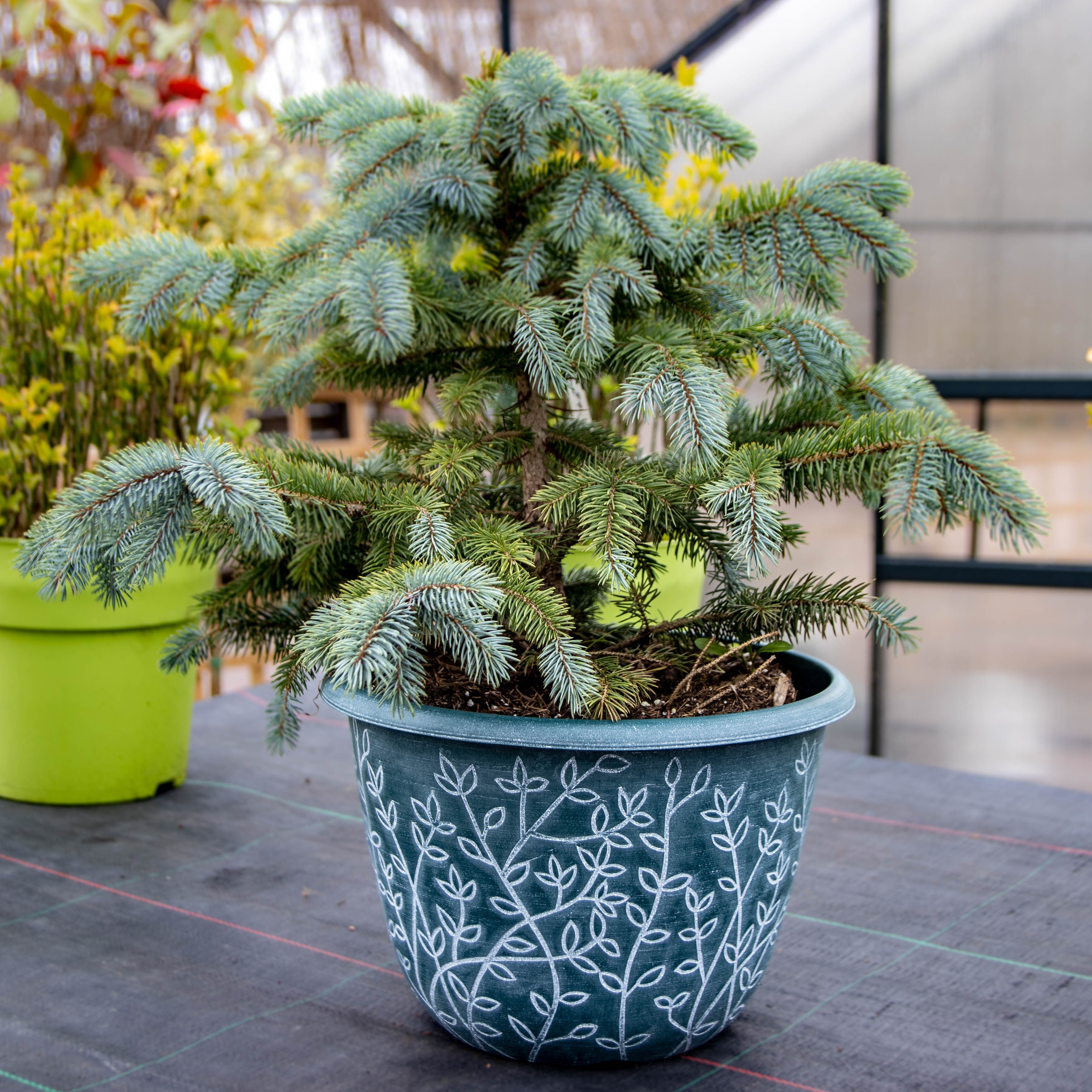 Pack Of Four - Large Green & White Serenity Planter (30cm)