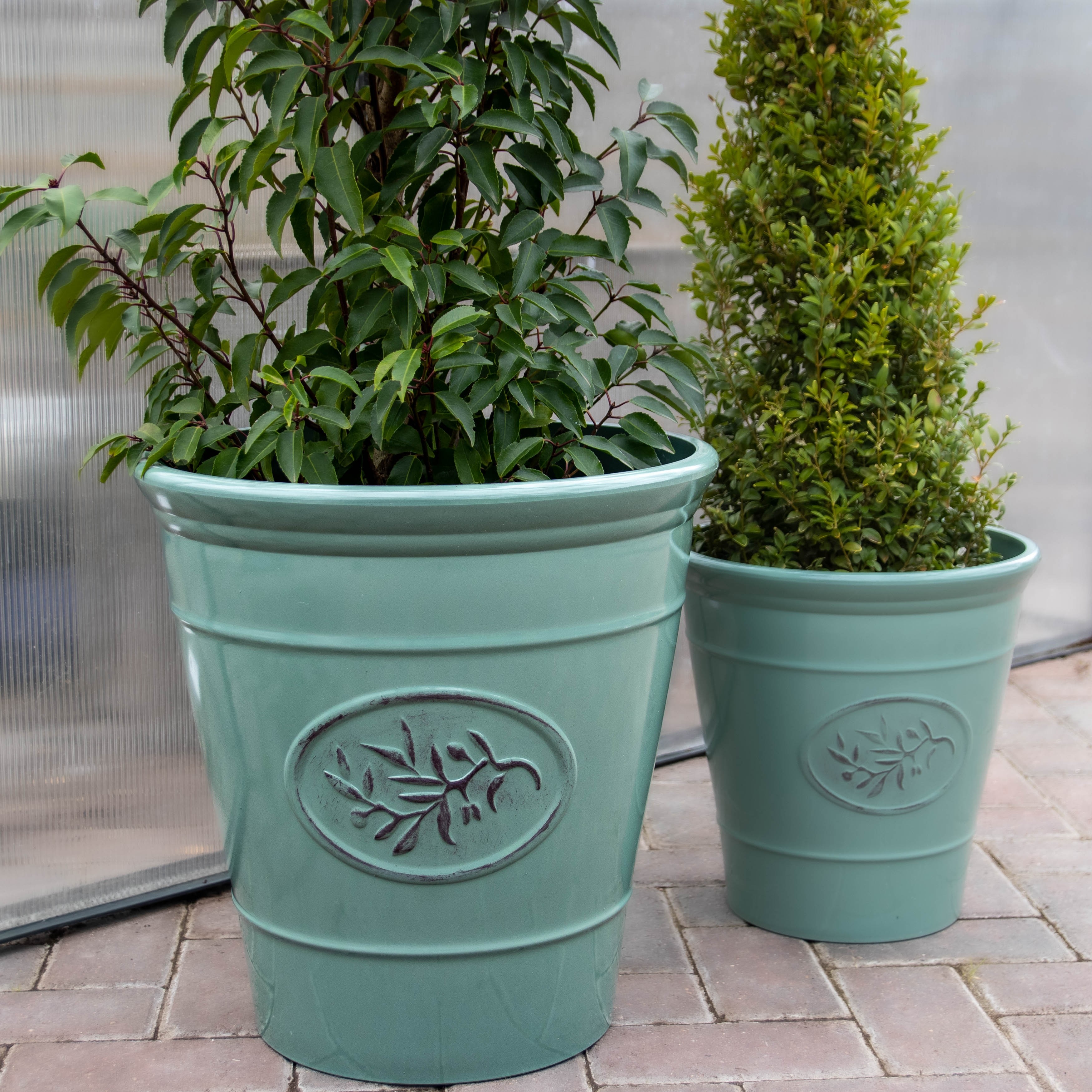 Green Olive Planter - Extra Large (40cm)