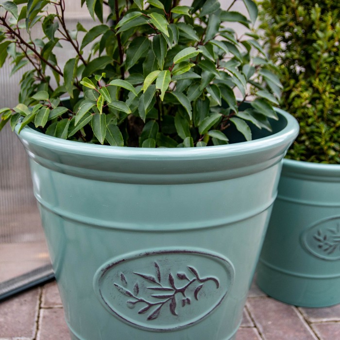 Green Olive Planter - Extra Large (40cm)