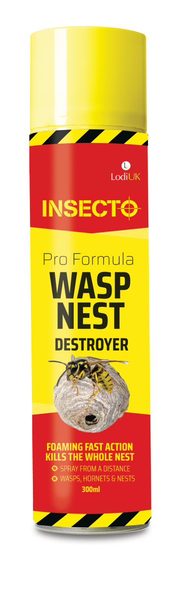 Insecto Pro Formula Wasp Nest Destroyer 300ml