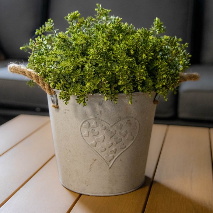 Heart Zinc Pot with Hessian Ears - Medium (18cm)