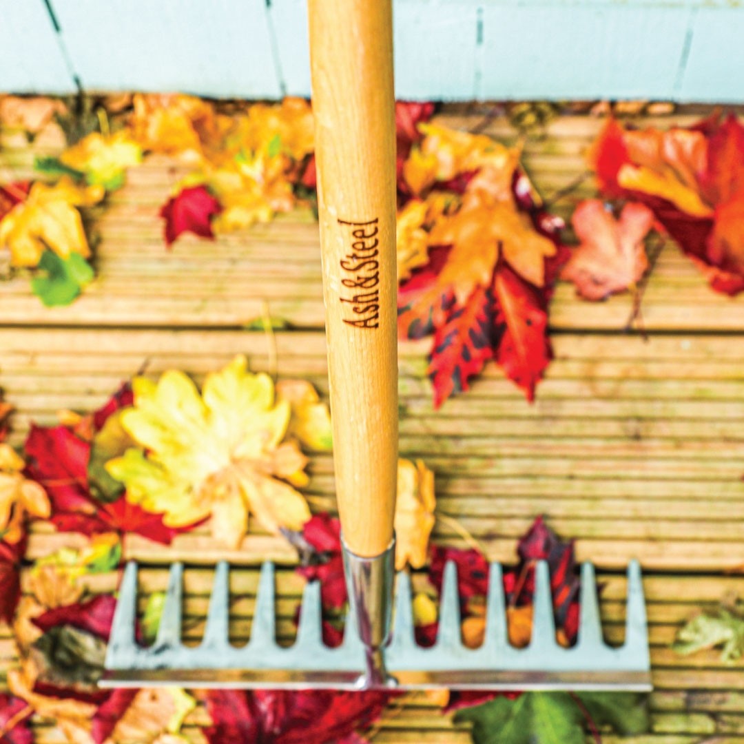 Ash & Steel : Heavy Duty Stainless Steel Garden Rake with Ash Handle